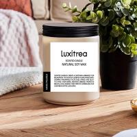 China Sweet Pomelo Scented Soy Wax Candle 14oz Aromatherapy Scented Candle 2 Wick for sale