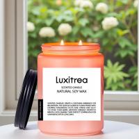 China Luxitrea Candle Lemon and Vanilla Scented Candle Scented Soy Wax Candle 14oz 2 Wick 110 Hours Long Lasting Candle for sale