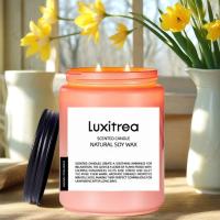 China Luxitrea Candle Lemon and Vanilla Scented Candle Scented Soy Wax Candle 14oz 2 Wick 110 Hours Long Lasting Candle for sale