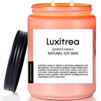 China Luxitrea Candle Lemon and Vanilla Scented Candle Scented Soy Wax Candle 14oz 2 Wick 110 Hours Long Lasting Candle for sale