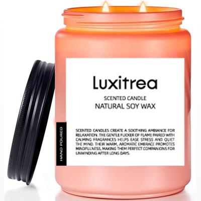 China Luxitrea Candle Lemon and Vanilla Scented Candle Scented Soy Wax Candle 14oz 2 Wick 110 Hours Long Lasting Candle for sale
