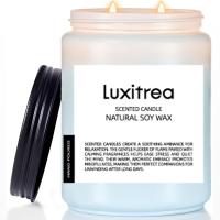 China 19 Oz Blue Moon Candles 2 Wick ‌Apothecary Style 110 Hours Long Lasting For Bathroom for sale