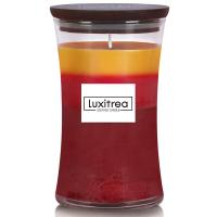 China 21oz Large Jar Candle Southern French Countryside Aroma Tomato Scented Candle for sale
