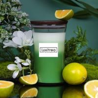 China 21 Oz Large Jar Candle Lavas Icelandic Tundra Glass Jar Candle Long Lasting for sale