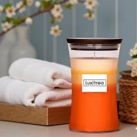 China Luxitrea Candle Large Jar Candle 21oz Vitality Citrus Orange Scented Candle Modern for sale
