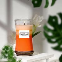 China Luxitrea Candle Large Jar Candle 21oz Vitality Citrus Orange Scented Candle Modern for sale