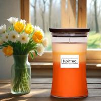 China Luxitrea Candle Large Jar Candle 21oz Vitality Citrus Orange Scented Candle Modern for sale
