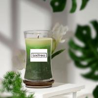 China Luxury Green Tea Scented Candle 21oz 150 Hours Burn Time Vintage Apothecary Style for sale