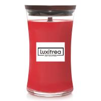 China Paraffin Wax Large Jar Candle Large 21oz Vine Shadow Rose Colored Glasses Candle for sale