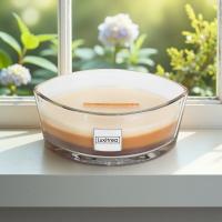 China Single Wick Aromatherapy Scented Candle 50 Hours Burn Time 16oz Customization for sale