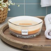 China Single Wick Aromatherapy Scented Candle 50 Hours Burn Time 16oz Customization for sale