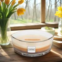 China Single Wick Aromatherapy Scented Candle 50 Hours Burn Time 16oz Customization for sale