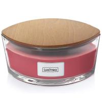 China Clean Burning Large Jar Candle 16oz Pink Champagne Scented Candle For Gift for sale