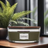 China 50 Hours Burn Time 16oz Large Jar Candle Parthenon Temple Swamp Aromatherapy Scented Candle for sale