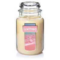 China Amber Bottled Up Scented Candles Champagne Cedar Glass Jar Candle for relaxation for sale