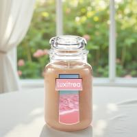 China Luxitrea Candle  Bottled Up Scented Candles   The aroma of Rosemary   Patchouli   Juniper   80 HoursLong Burning Time  20 oz for sale