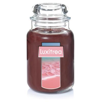 China Luxitrea Candle  Bottled Up Scented Candles  The aroma of Grapefruit   Lychee Rose  Blood Orange  80 HoursLong Burning Time  20 oz for sale