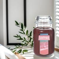 China Luxitrea Candle  Bottled Up Scented Candles  The aroma of Grapefruit   Lychee Rose  Blood Orange  80 HoursLong Burning Time  20 oz for sale