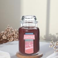 China Luxitrea Candle  Bottled Up Scented Candles  The aroma of Grapefruit   Lychee Rose  Blood Orange  80 HoursLong Burning Time  20 oz for sale