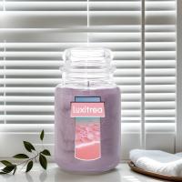China Luxitrea Candle  Ceramic Jar Candle  The aroma of Grapefruit   Gardenia   Chamomile  80 HoursLong Burning Time  20 oz for sale