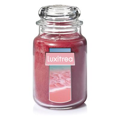 China Pineapple Apple Lychee Fruit Scented Candles 20 Oz with cotton wick Windproof for sale