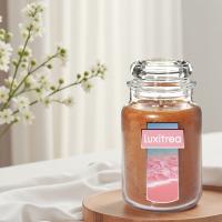 China Hibiscus Cornflower Bottled Up Scented Candles 80 Hours 20 Oz Gardenia Scented Candle for sale