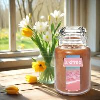 China Hibiscus Cornflower Bottled Up Scented Candles 80 Hours 20 Oz Gardenia Scented Candle for sale