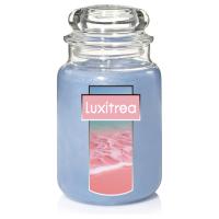 China Pineapple Mint Glass Bottle Candle Ginger Citrus Fir And Pine Needle Fragrance for sale