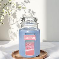 China Pineapple Mint Glass Bottle Candle Ginger Citrus Fir And Pine Needle Fragrance for sale