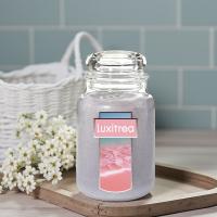 China Luxitrea Candle   Bottled Up Scented Candles   The aroma of Crystal grape  jasmine  Cedar  80 HoursLong Burning Time  20 oz for sale