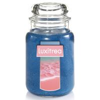 China Luxitrea Candle  Bottled Up Scented Candles  The aroma of Floral Notes   Rose  Lavender  80 HoursLong Burning Time  20 oz for sale