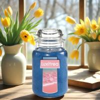 China Luxitrea Candle  Bottled Up Scented Candles  The aroma of Floral Notes   Rose  Lavender  80 HoursLong Burning Time  20 oz for sale