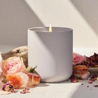 China Amber Cedar Ceramic Scented Candle 35 Hours Champagne Scented Candle for sale
