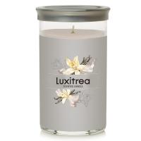 China 10 Oz Bottled Up Scented Candles Anise Coriander Marjoram 35 Hours Cotton Wick Candle for sale