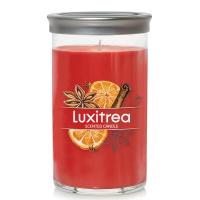 China Elegant 10 Oz Cinnamon Scented Candles 35 Hours Long Burning Time Clove Ginger for sale
