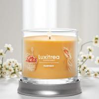 China Safe Eucalyptus Scented Candle Oud Bay Wood 35 Hours 10 Oz Customization for sale