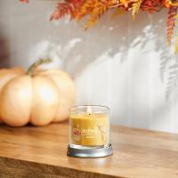 China Safe Eucalyptus Scented Candle Oud Bay Wood 35 Hours 10 Oz Customization for sale