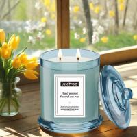 China Handmade Soy Wax Candle Frosted Glass Jar Natural Scented Long Lasting Eco Friendly Candle Ideal for Home and Decoration for sale