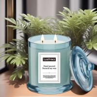 China Handmade Soy Wax Candle Frosted Glass Jar Natural Scented Long Lasting Eco Friendly Candle Ideal for Home and Decoration for sale