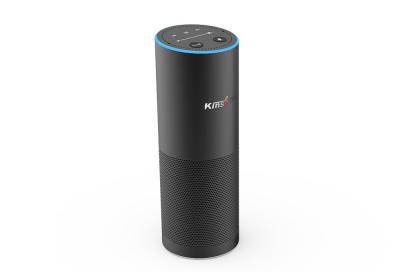 China KST-SPK100 for sale