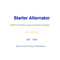China 24V 150A Alternator AVI144L3001  Copper And Silver Contacts for sale