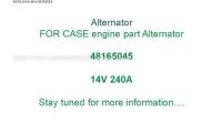 China 14V 240A CAS-E  Alternator 48165045 with Copper And Silver Contacts for sale