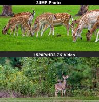 China Battery Powered 0.2s Trigger Speed 1502P 24MP Trail Camera For Hunting for sale