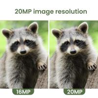 China 256GB Memory 20MP Night Vision Trail Wildlife Camera for sale