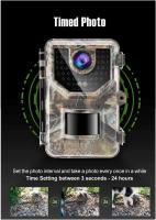 China 256GB Memory 20MP Night Vision Trail Wildlife Camera for sale
