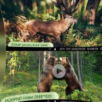China 2 Sensors 1520P HD 20MP Trail Wildlife Camera IP66 For hunting for sale