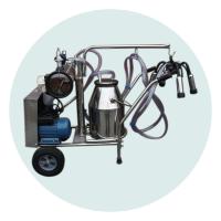 China Negative Pressure 170L/min Cow Milking Machine SS304 Material for sale