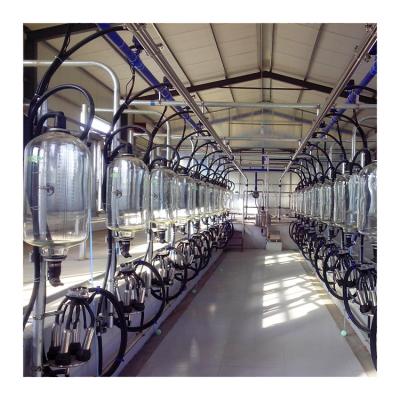 China PVC pipeline 380V Herringbone Milking Parlor With Electronic Milk Meter for sale