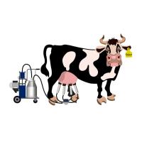 China Single Bucket 25L Small Dairy Milking Equipment 51kg Piston Type Milking Machine for sale