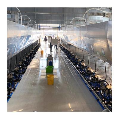China quick release type ISO9001 Abreast Milking Parlour with Electronic Metering for sale